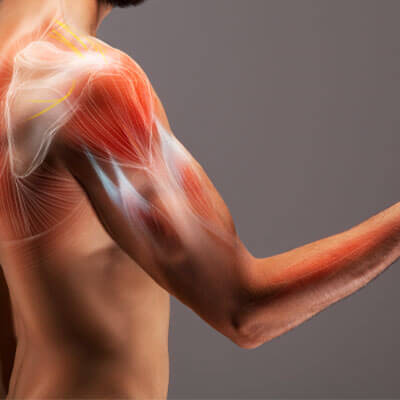 Oakland Chiropractor | Fishkin Chiropractic | Oakland CA
